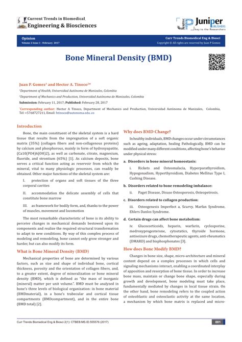 Pdf Bone Mineral Density Bmd