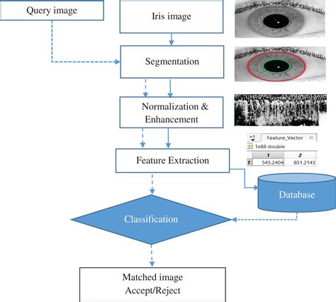 Iris Recognition Approach For Identity Verification With Dwt And Multiclass Svm Peerj