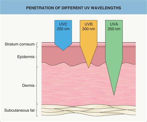 Ultraviolet Radiation Clinical Tree
