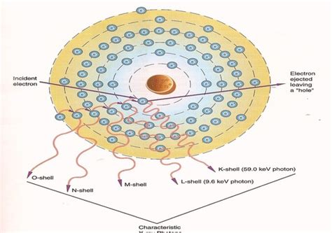 Rad 127 Electron Target Interactions Flashcards Quizlet
