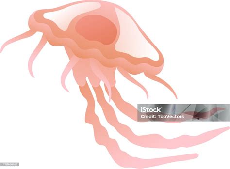 해파리 아름 다운 수영 해양 수 중 생물 빛나는 투명 메 두 사 벡터 일러스트 레이 션 깊은에 대한 스톡 벡터 아트 및 기타
