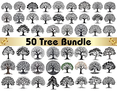 Tree Silhouette Svg SVG Files For Cricut Tree Silhouette Tree Png Silhouette Svg Redwood