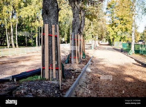 road reconstruction trees covered with boards for protection stock