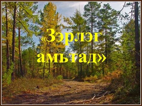 зэрлэг амьтад