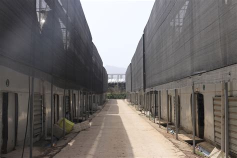 基地展示 河南金海生物科技有限公司 食用菌生物技术、食用菌新品种开发、规模化种植推广