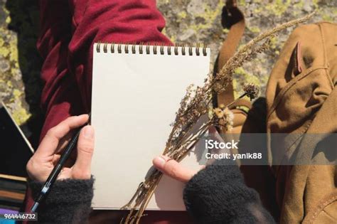 빈 노트북을 들고 여자의 손에 클로즈업 그녀의 손과 연필에 허브의 마른 꽃다발 여행 디자이너 아티스트 개념에 대한 스톡 사진 및 기타 이미지 Istock