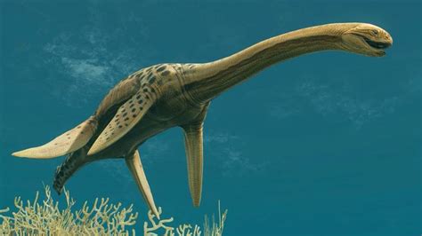 Kaiwhekea Prehistoric Wildlife Jurassic Park World Prehistoric