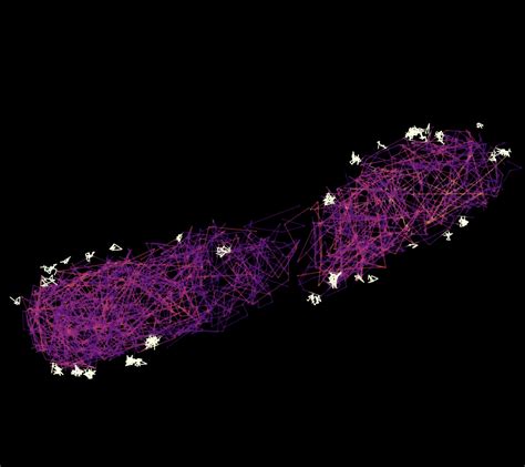 Single Particle Tracking Photoaktivierte Lokalisierungsmikroskopie