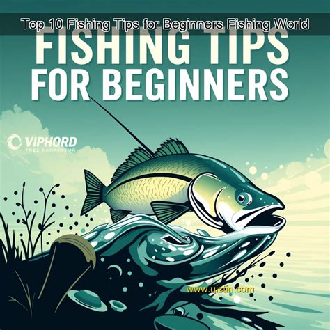 Top 10 Fishing Tips For Beginners Fishing World Uistin
