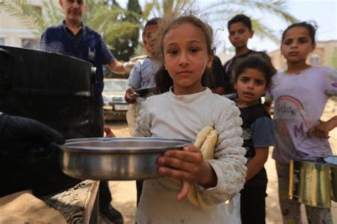 Palestine Gaza Haroon Usman