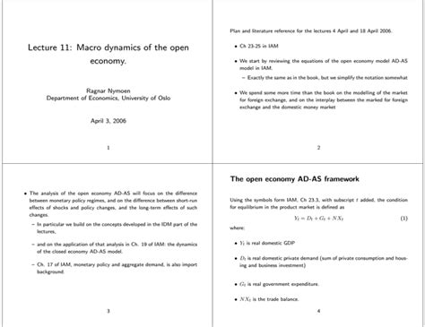 Lecture 11 Macro Dynamics Of The Open Economy