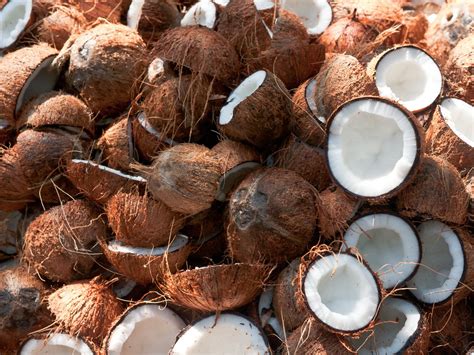 Coconuts Can Contribute Over 400bn To Nigerian Economy Annually Official