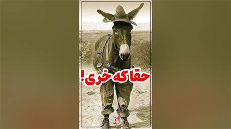 حقا که خری داستان حکایت داستانصوتی Youtube
