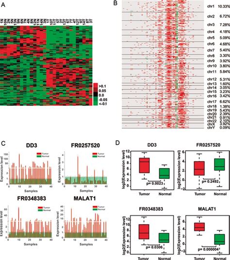 RNA Seq Analysis Of Prostate Cancer In The Chinese Population