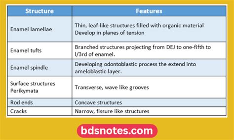 Hypocalcification Of Tooth Enamel Bds Notes