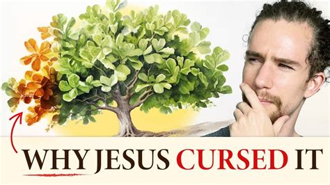 Bear Fruit In Every Season The Parable Of The Fig Tree Rise On