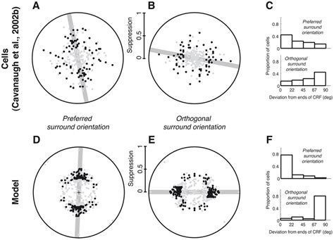Variability Of Positional Biases Ac V1 Population Data From 9 N