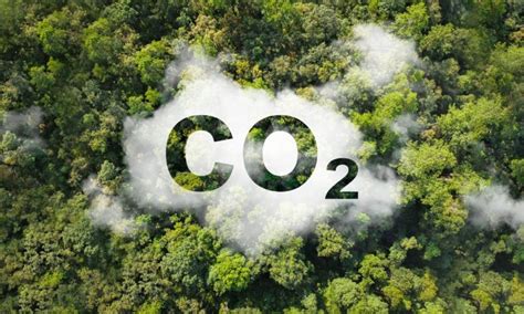 Mcgill University Develops Revolutionary Co2 Conversion Catalyst