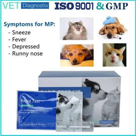 M Pneumonia Test Kit Feline Mycoplasma Pneumonia Test Mp Rapid Test