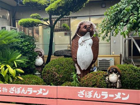 奥原ゆきのさんのインスタグラム写真 奥原ゆきのinstagram「先日出張の帰りに鹿児島で「ざぼんラーメン」を食べました。 与次郎に