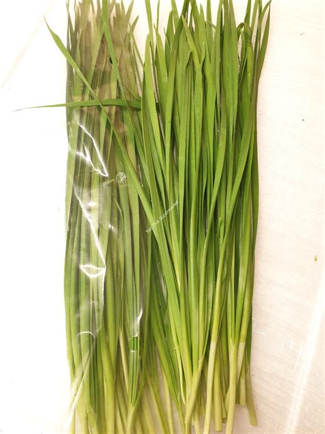 Chive Leaf 200g Yao Thai Supermarket