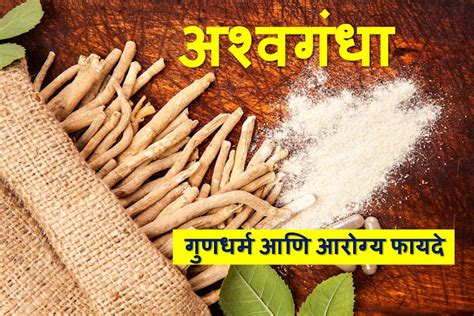 Ashwagandha In Marathi अश्वगंधा गुणधर्म आणि आरोग्य फायदे