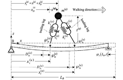 A Sagittal Plane Of Pedestrian Structure System B Frontal Plane Of Download Scientific
