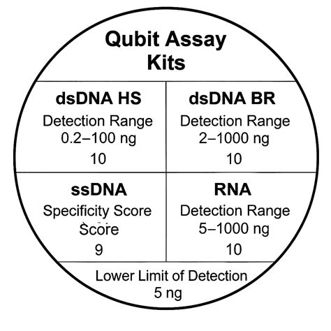 Selecting The Right Qubit Assay Kit Dsdna Ssdna Or Rna A Practical Guide For Accurate