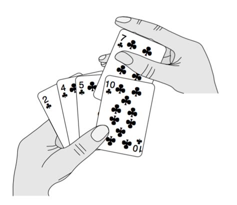 Xbay