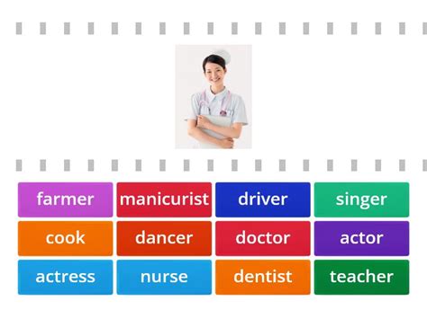 Professions Whats Your Job Find The Match