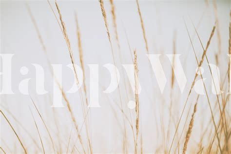 Beige Grass Inspired Wallpaper