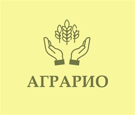 Кейсы