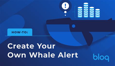 How To Create Your Own Whale Alert Sync By Bloq