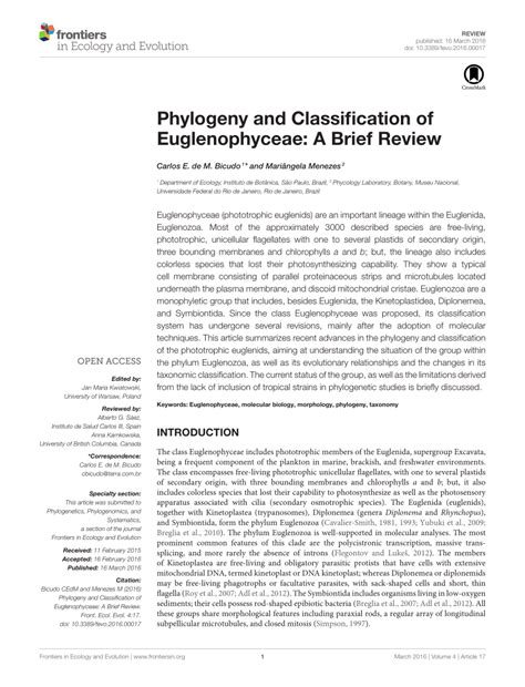 Pdf Phylogeny And Classification Of Euglenophyceae A Brief Review