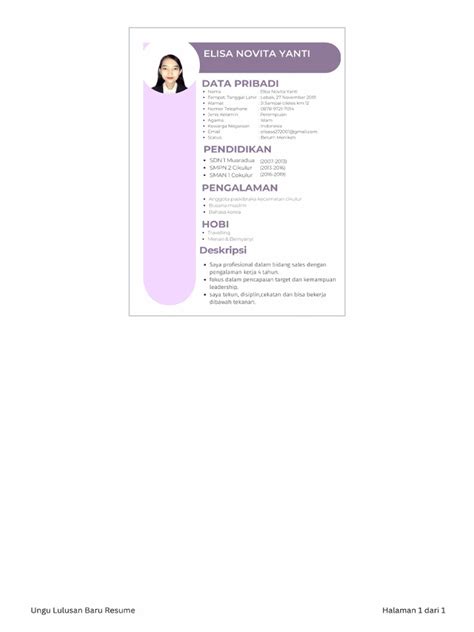 Elisa Cv Pdf Pdf