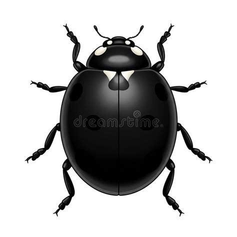 A Digital Illustration Of A Stylized Black Ladybug With A Glossy Exoskeleton Its Body Is Stock