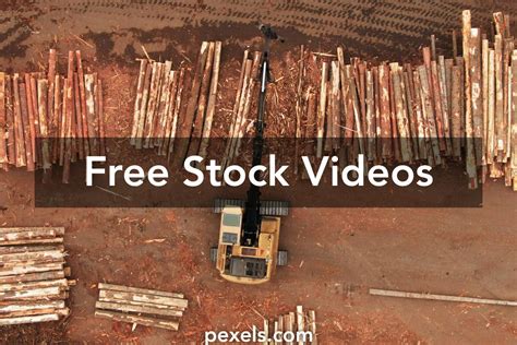 Forest Resources Videos Download The Best Free 4k Stock Video Footage