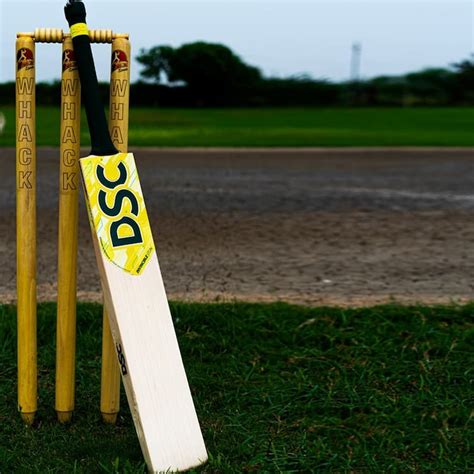 What You Need To Know About Cricket Stumps Share A Word