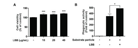 The Effect Of Lbb On Cell Viability And Phagocytosis Activity In