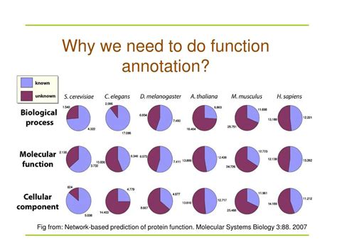 ppt gene protein function annotation powerpoint presentation free
