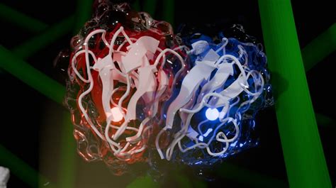 The Incredible Evolution Of Insects