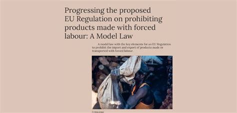 Model Law On Forced Labour Ban Heidi Hautala