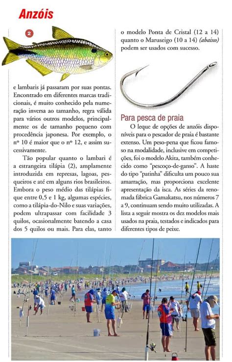 Pesca Gerais Anzol certo para não perder o peixe na sua pescaria