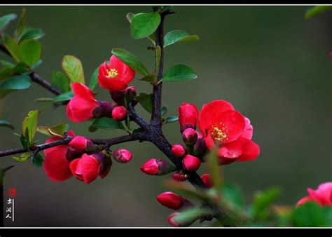 畸变矫正边缘投影法对文本图像矫正——python Csdn博客