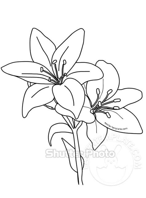 Xem Ngay 12 Mẫu Tranh Vẽ Hoa Ly đẹp Dễ Thương