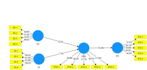 Do Data Analysis Using Smartpls Spss And Excel By Shahqau123 Fiverr