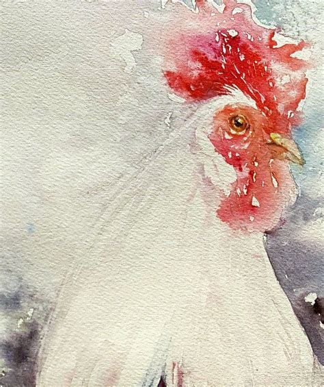 Silvielong Tailed Rooster 2018 Watercolour By Arti Chauhan Arches