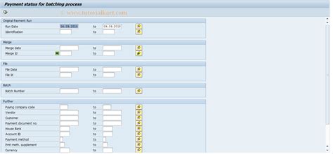 BNK MONIP SAP Tcode Payment Status Batching