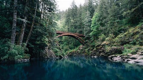 Awc Releases New Standards Used To Design And Build Us Wood Structures