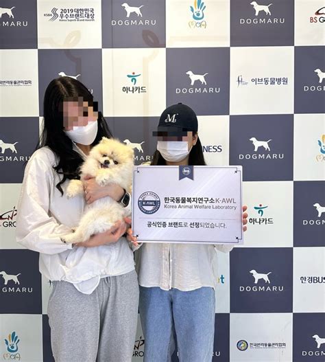 포메라니안 뭉치 미니비숑프리제성격 토이푸들성격 골든리트리버성격 래브라도리트리버성격 닥스훈트성격 도베르만성격 말티치성격 말티폼성격 보더콜리성격 프렌치불독성격 빠삐용성격 파피용